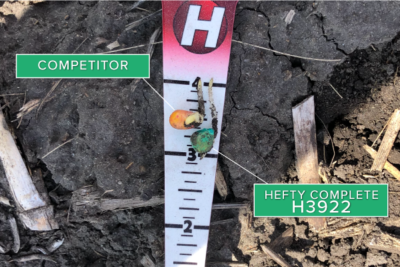 Corn – Hefty Seed Company