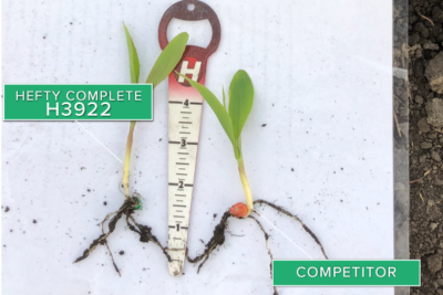 Corn – Hefty Seed Company