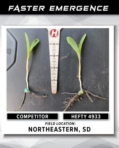 Hefty Seed Company – Agronomy. Answers. Yield.